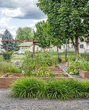 Multifamily Asset Management Company | About LivCor