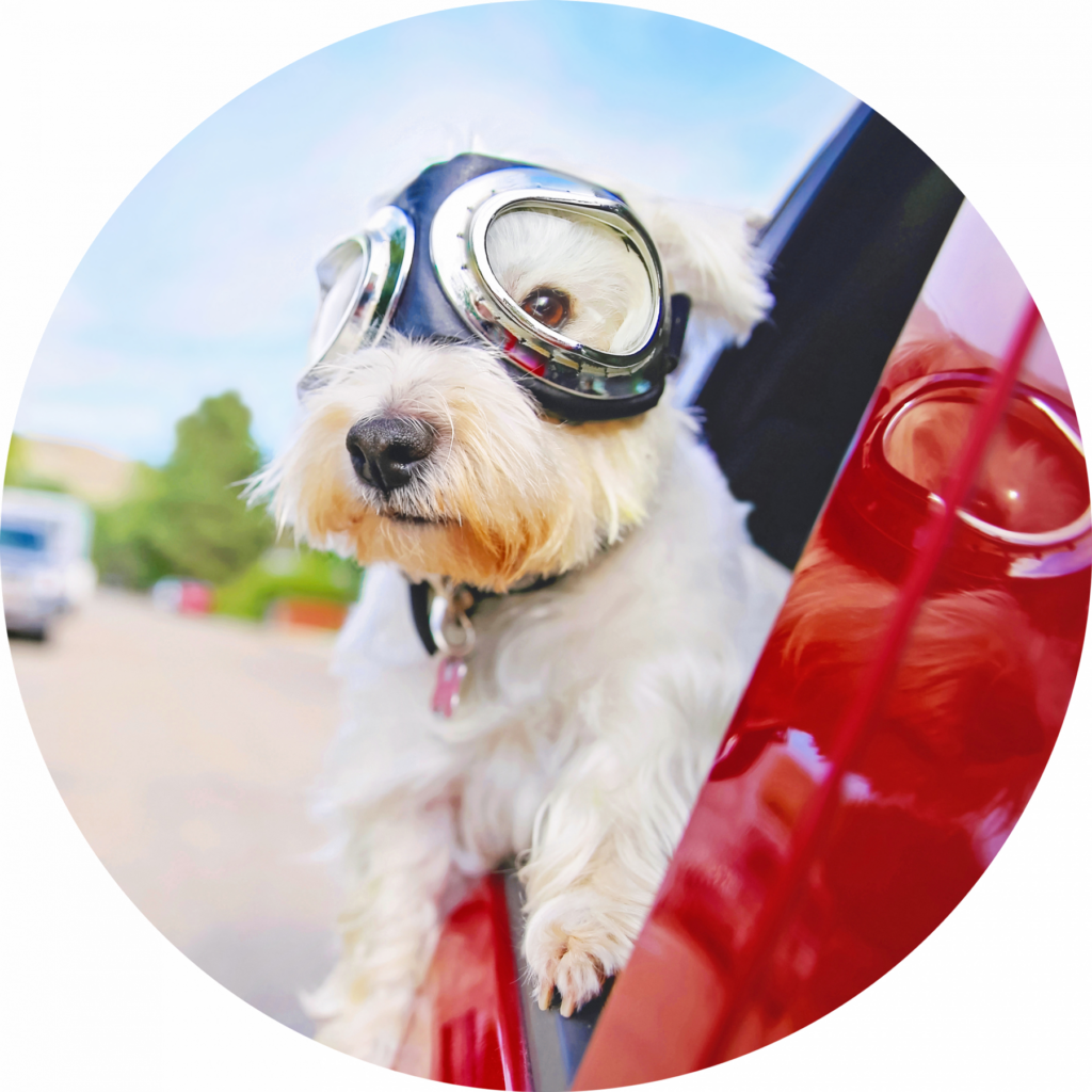 Real Estate Investing & Multifamily Asset Management | LivCor